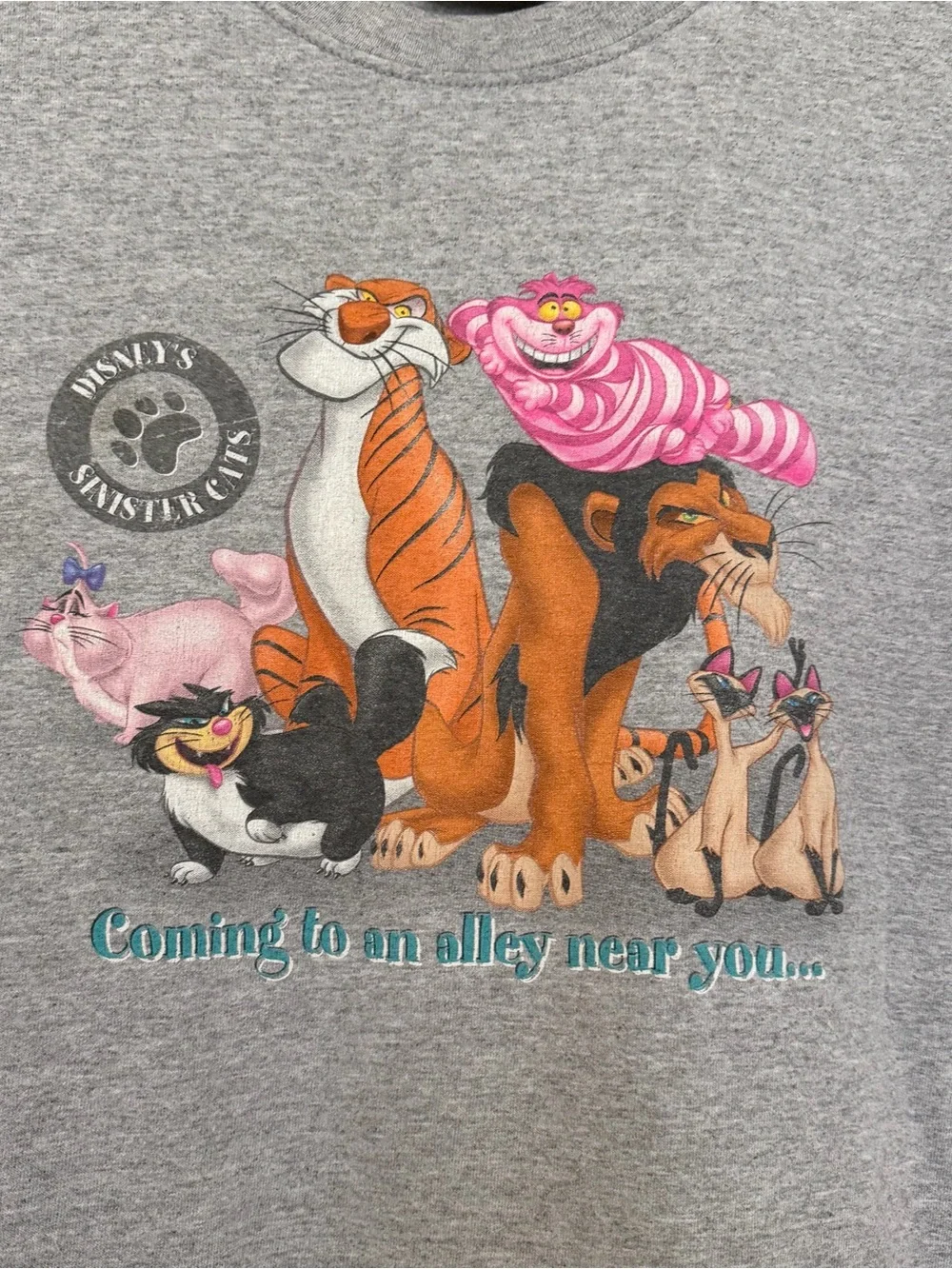 Disney | Shirts | Vintage Walt Disney World Sinister Cats Tshirt L Xl ...